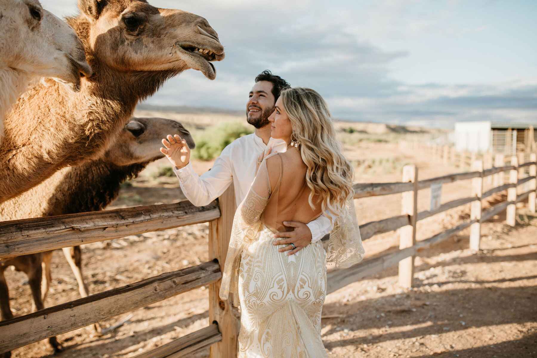 Best Las Vegas Zoo - Animal Activities, Safari Tour Kids, Family